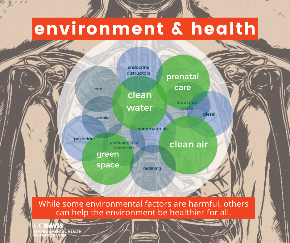 Describe An Environmental Factor That Could Influence Natural Selection